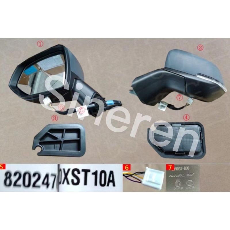 Left rear view mirror assembly 8202470XST10A